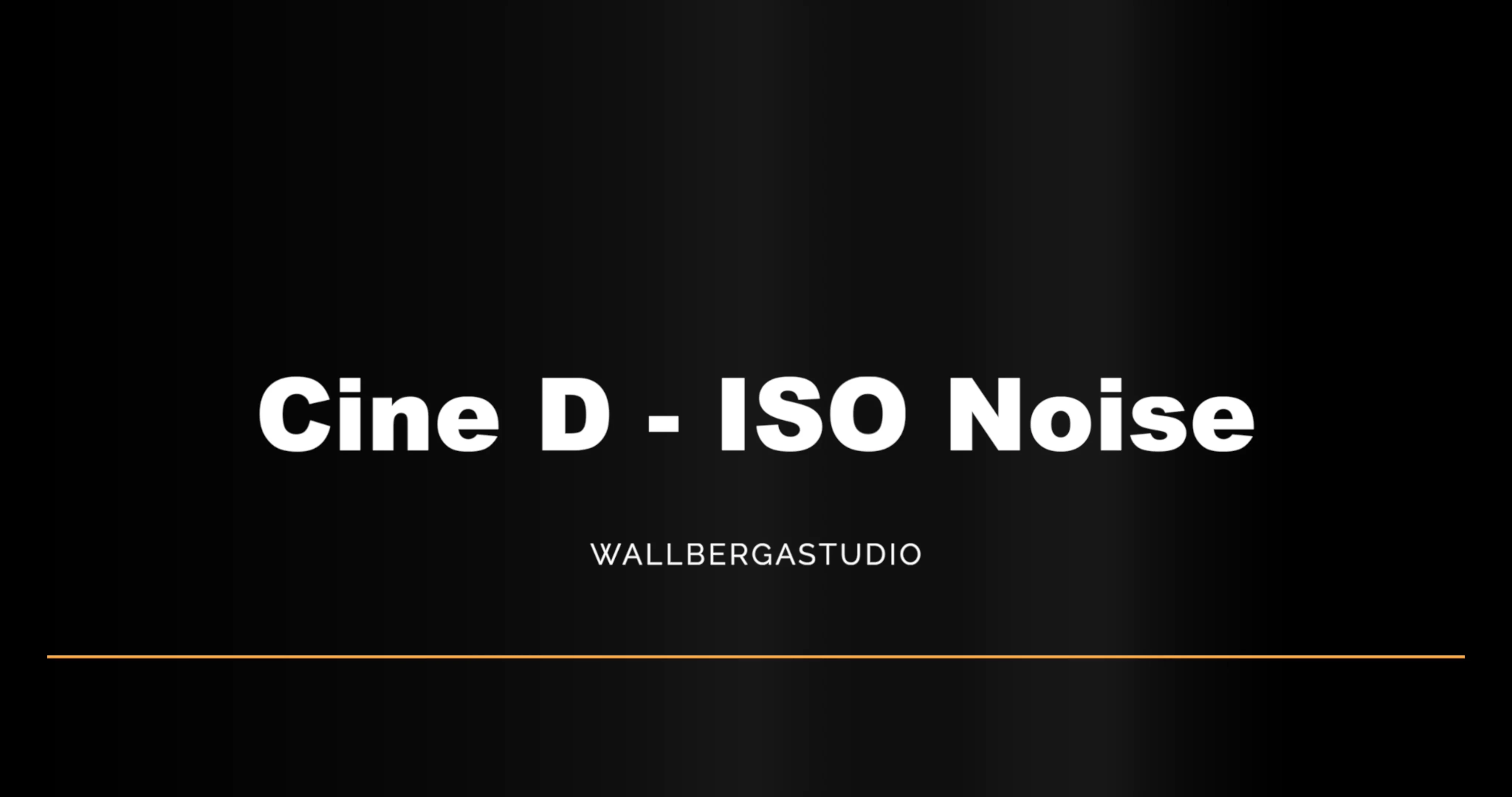 Gh5s S1H noise Cine D.mp4 on Vimeo