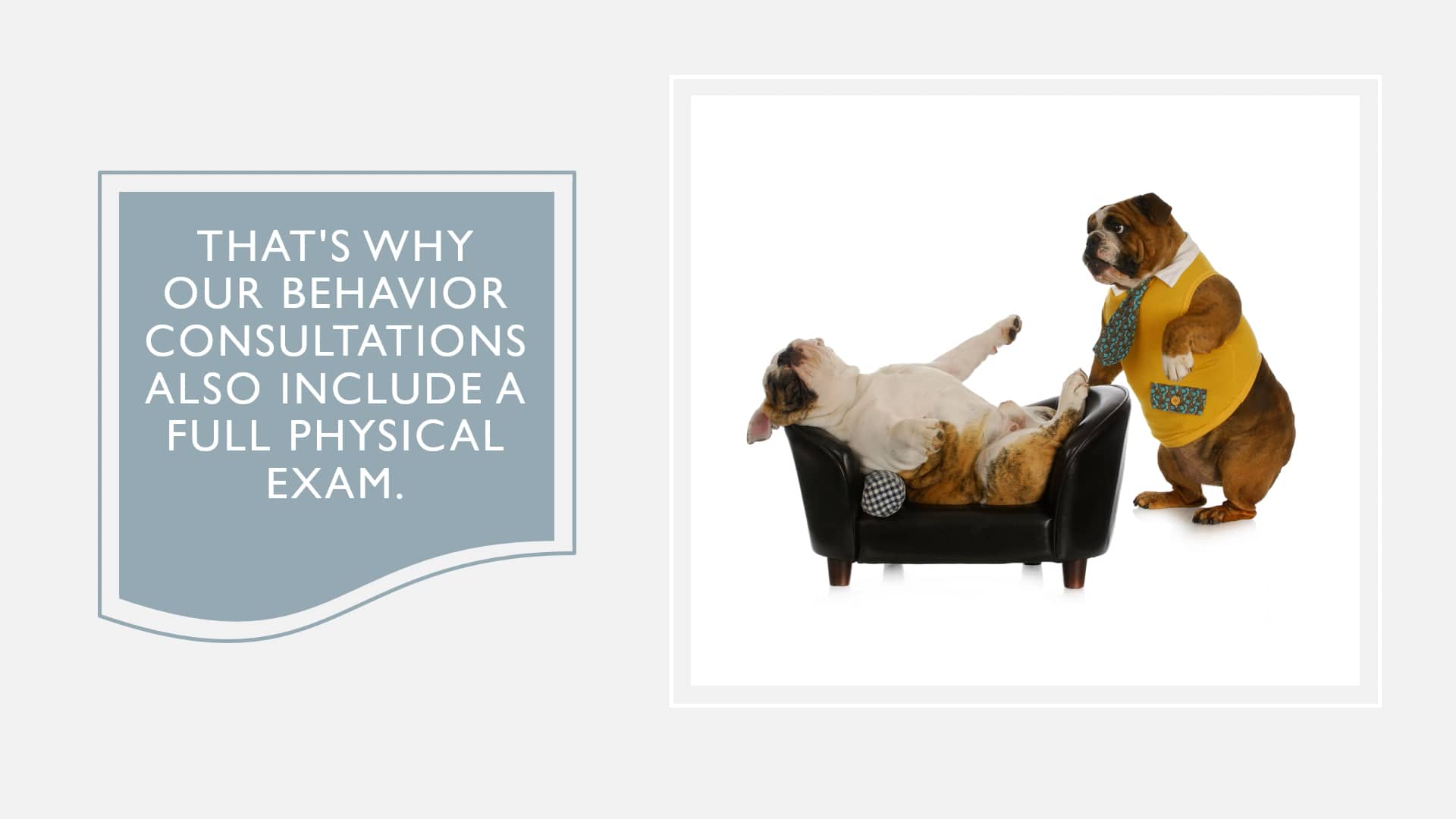 behavior consultations on Vimeo