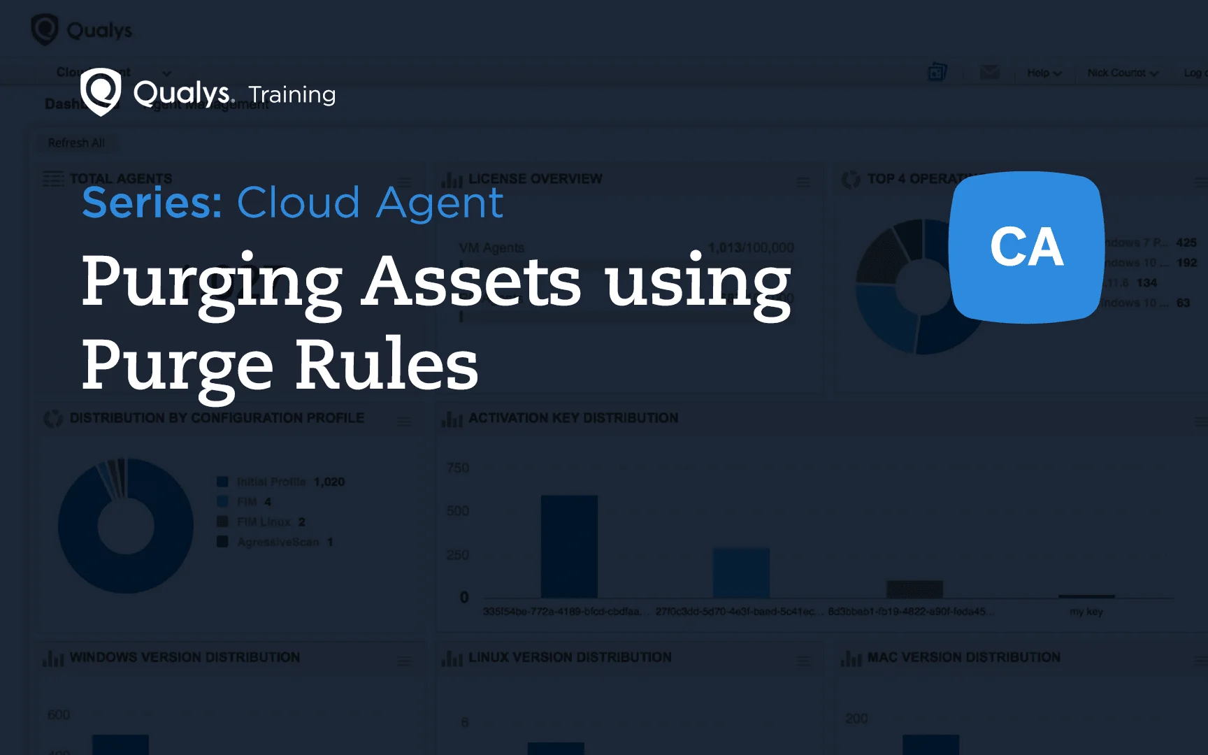 Purging Assets using Purge Rules