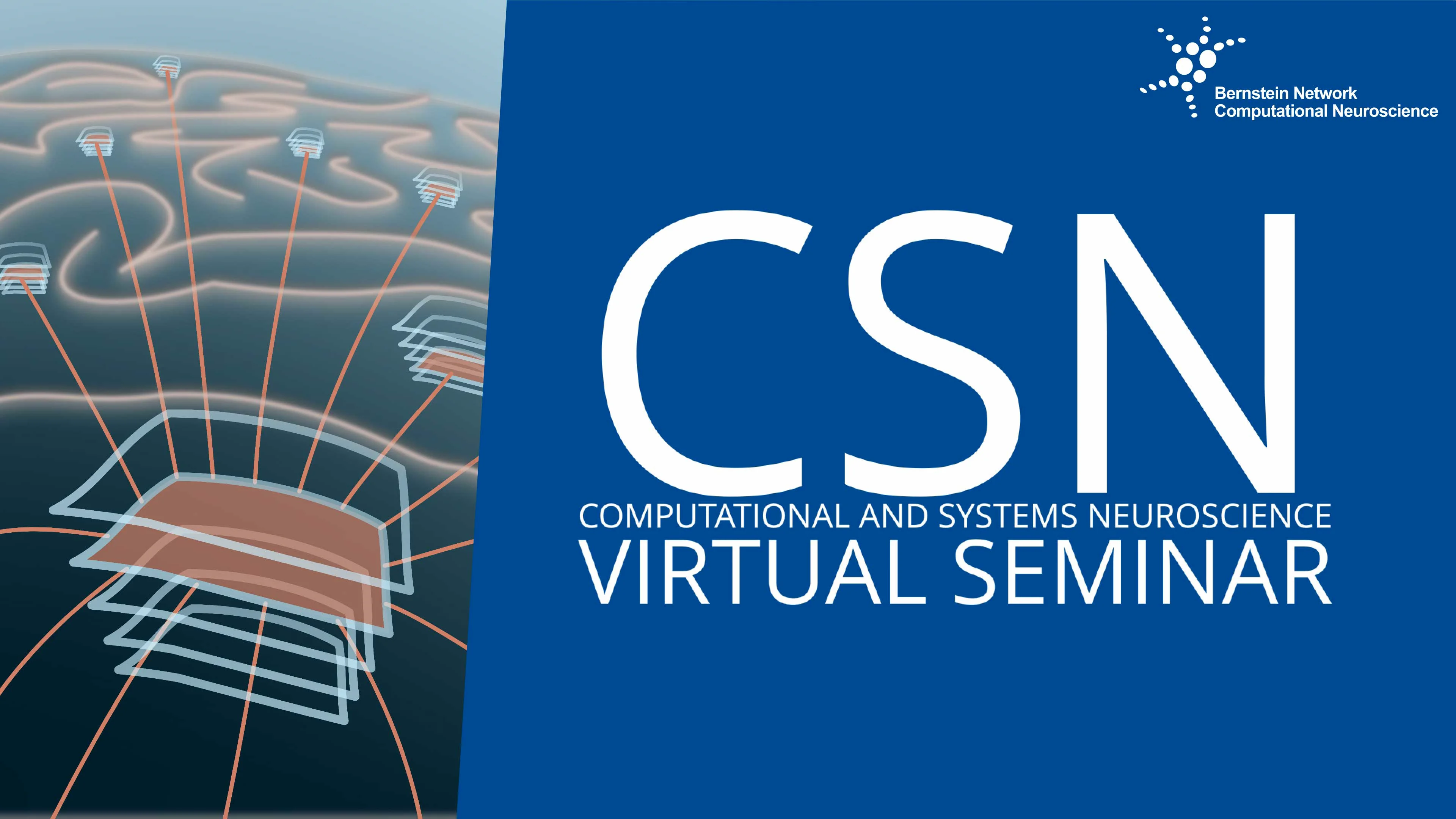 CSN Virtual Seminar | Adam Kohn on Vimeo