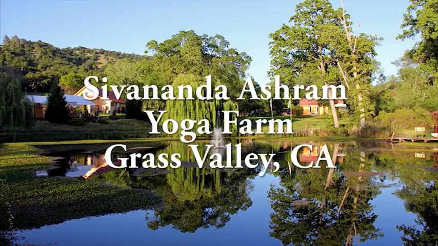 Sivananda Yoga Asana Sequence in 12 Basic Postures.mp4 on Vimeo