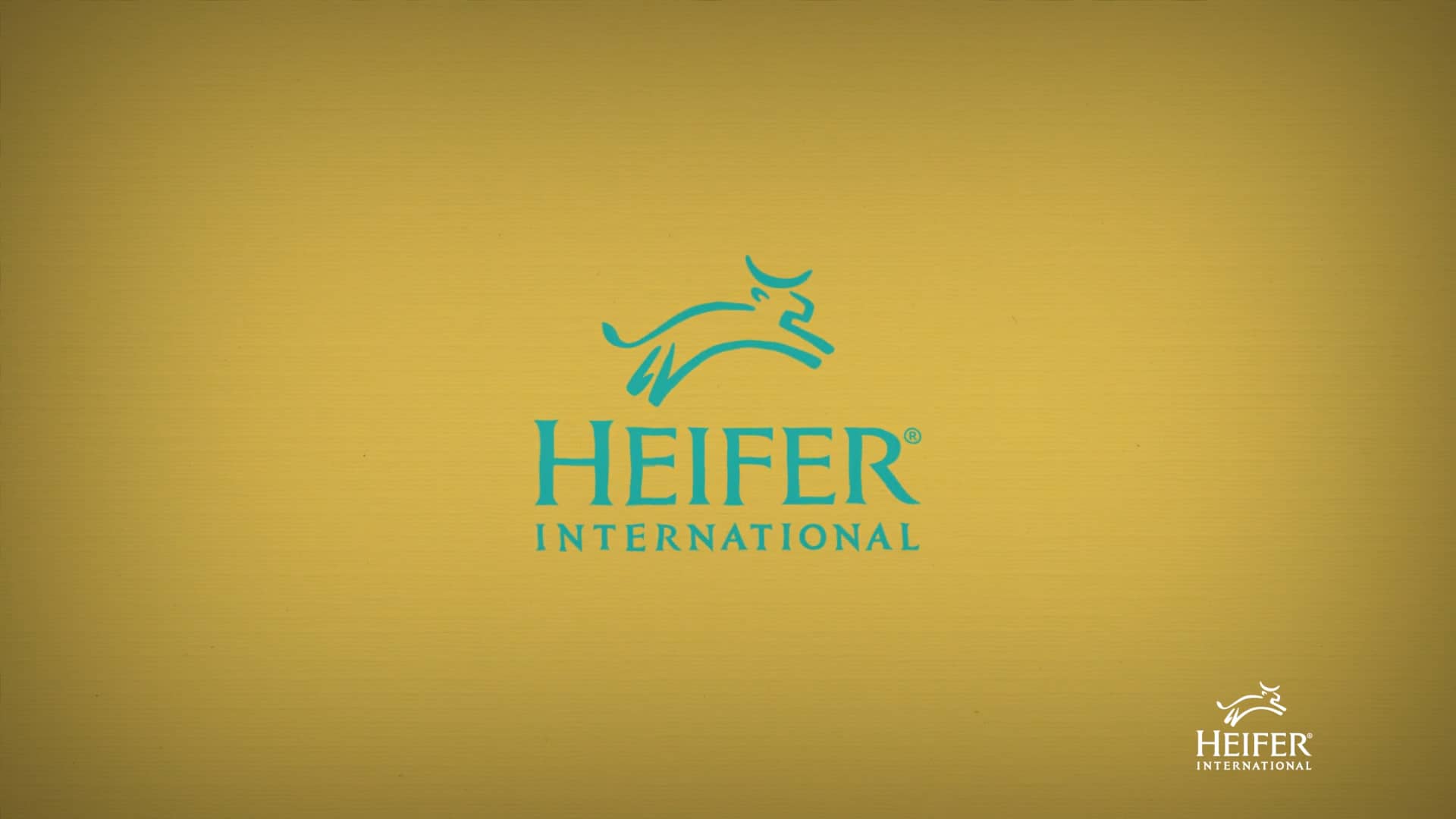 Heifer PSA 30 - with Heifer Logo Tag.mp4 on Vimeo