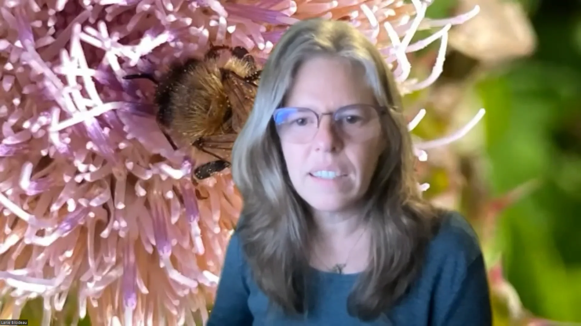 CDBA Presentation, Feb 8, 2023 - Dr. Lanie Bilodeau _ Varroa Sensitive ...