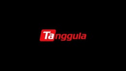 How To Do Voice Control TANGTV mp4 On Vimeo