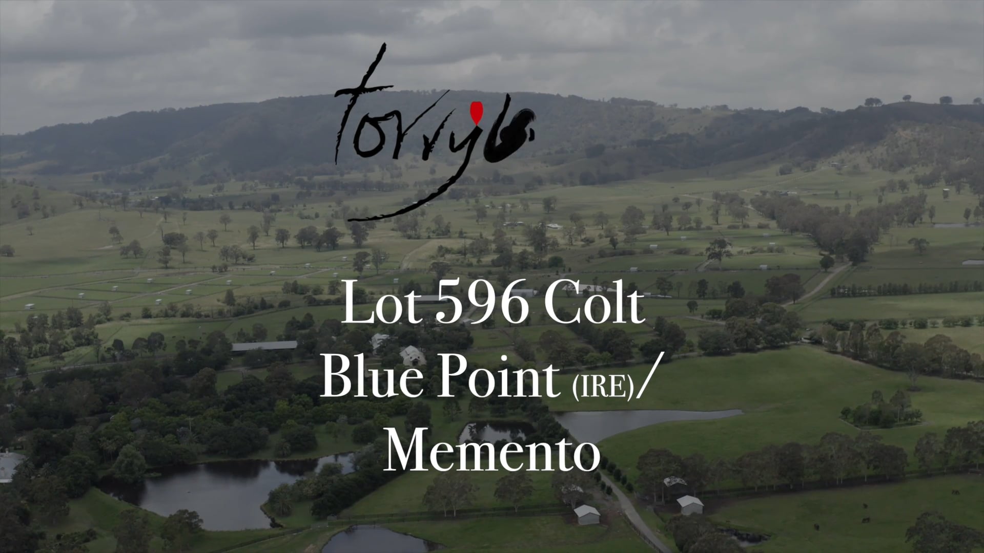Torryburn 2023 Inglis Classic Lot 596 on Vimeo