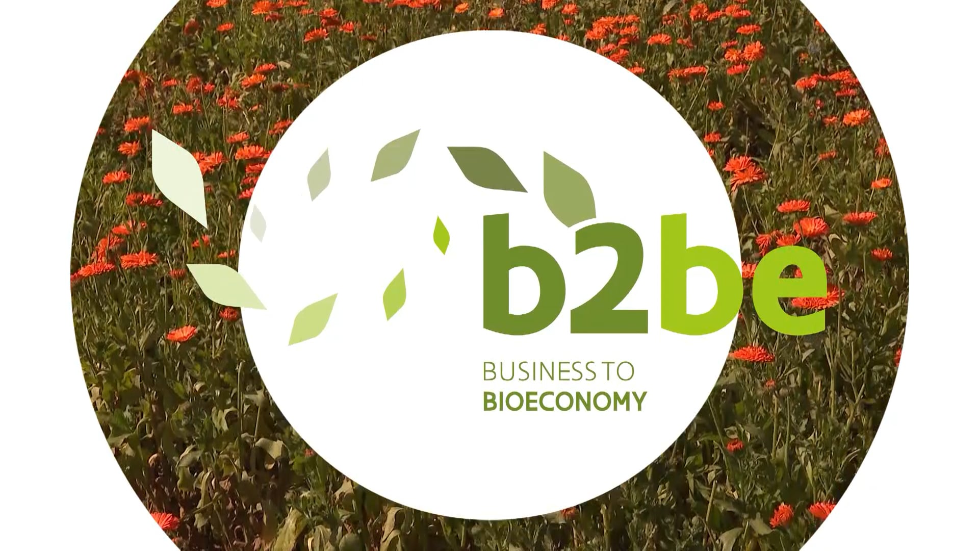 B2BE Facilitator on Vimeo