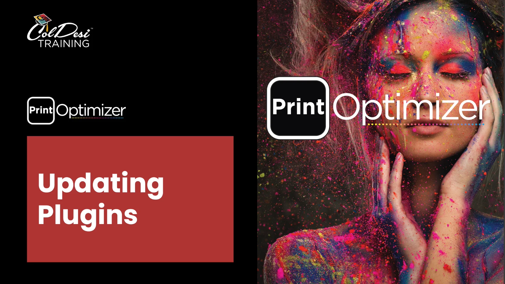 Print Optimizer DTF - Updating Plugins.mp4