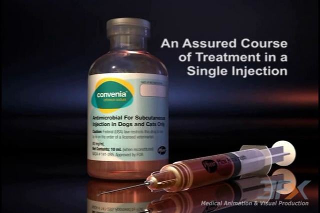 Antimicrobial Injection for Dogs and Cats on Vimeo