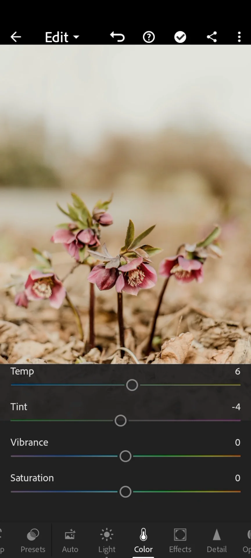 Lightroom editing tutorial, Best photo Editing, Chroma key vfx #youtubeshorts #shorts on Vimeo