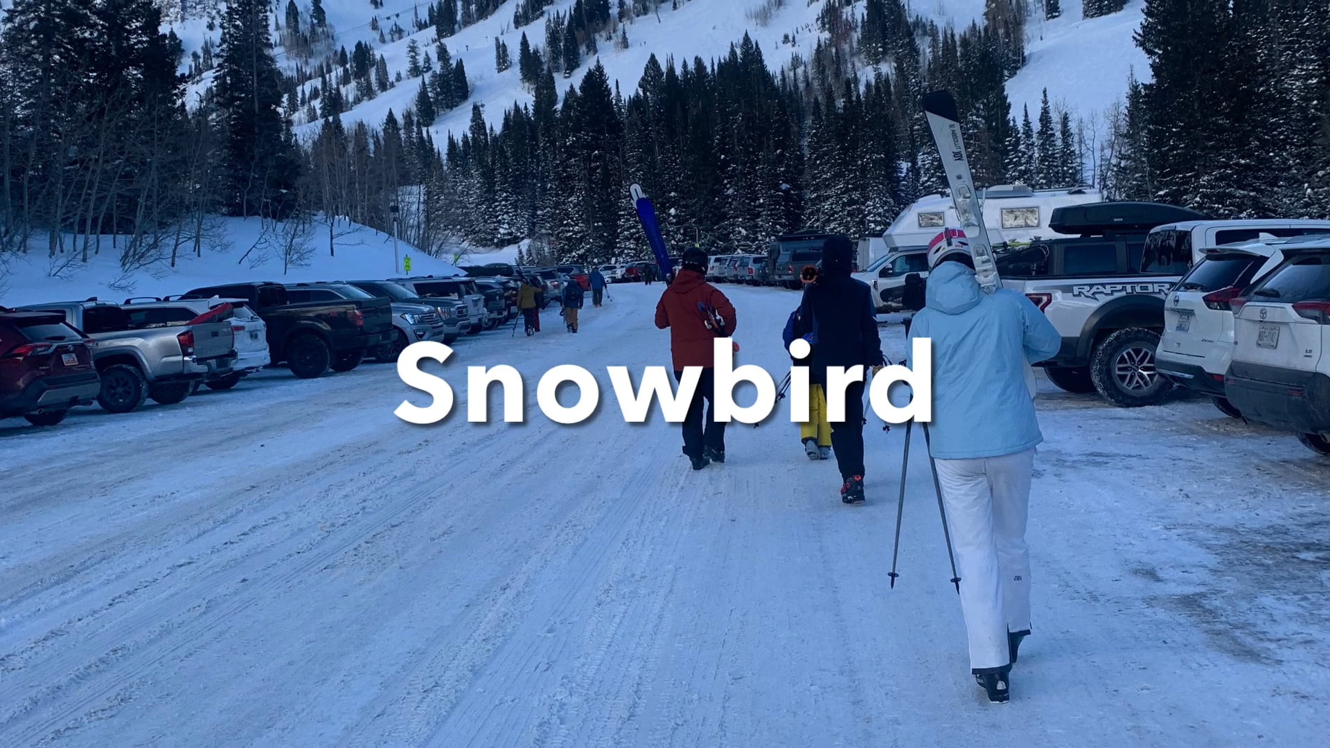 Snowbird on Vimeo