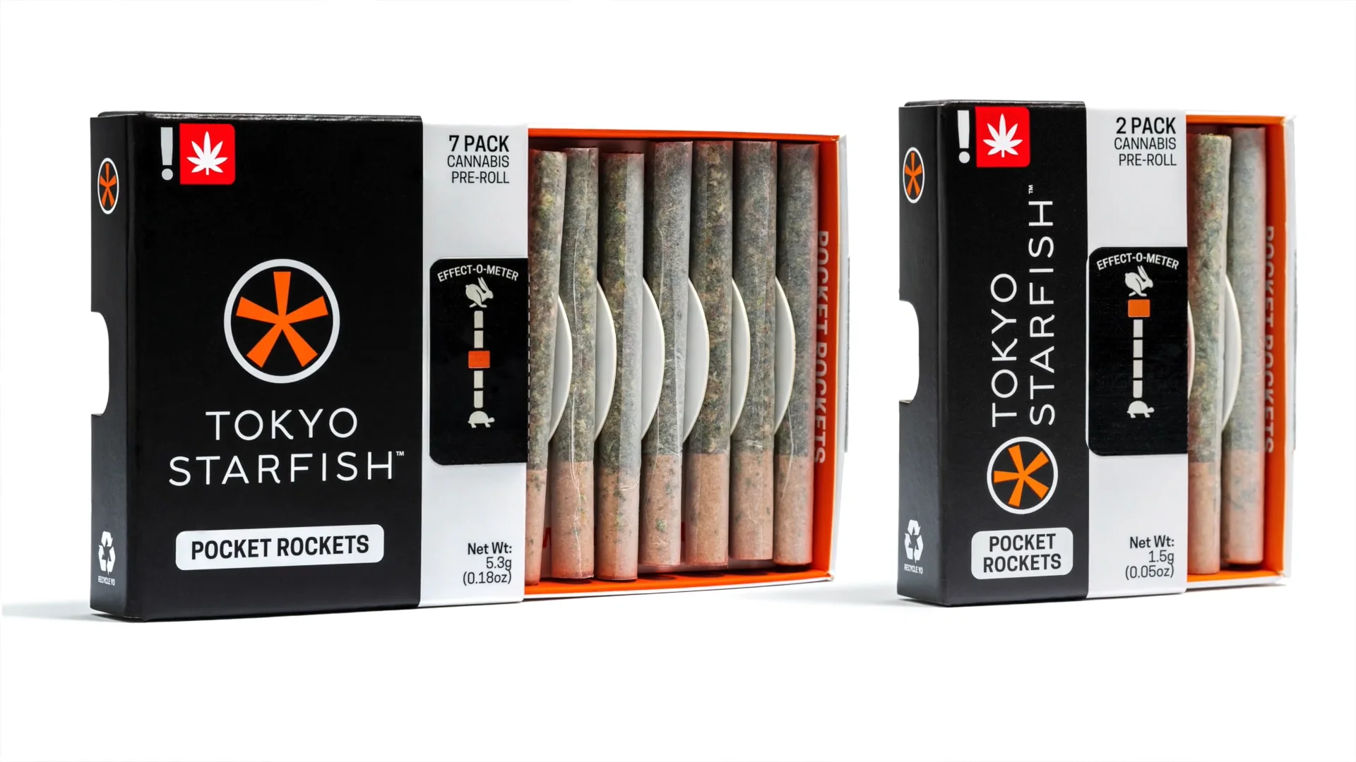 TOKYO TELEGRAM 2/10/23 - POCKET ROCKET SPECIAL EDITION on Vimeo