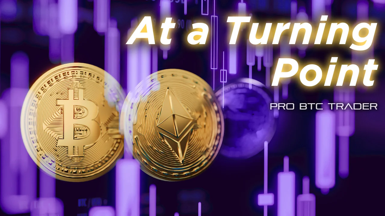 Pro BTC Trader, February 8 on Vimeo