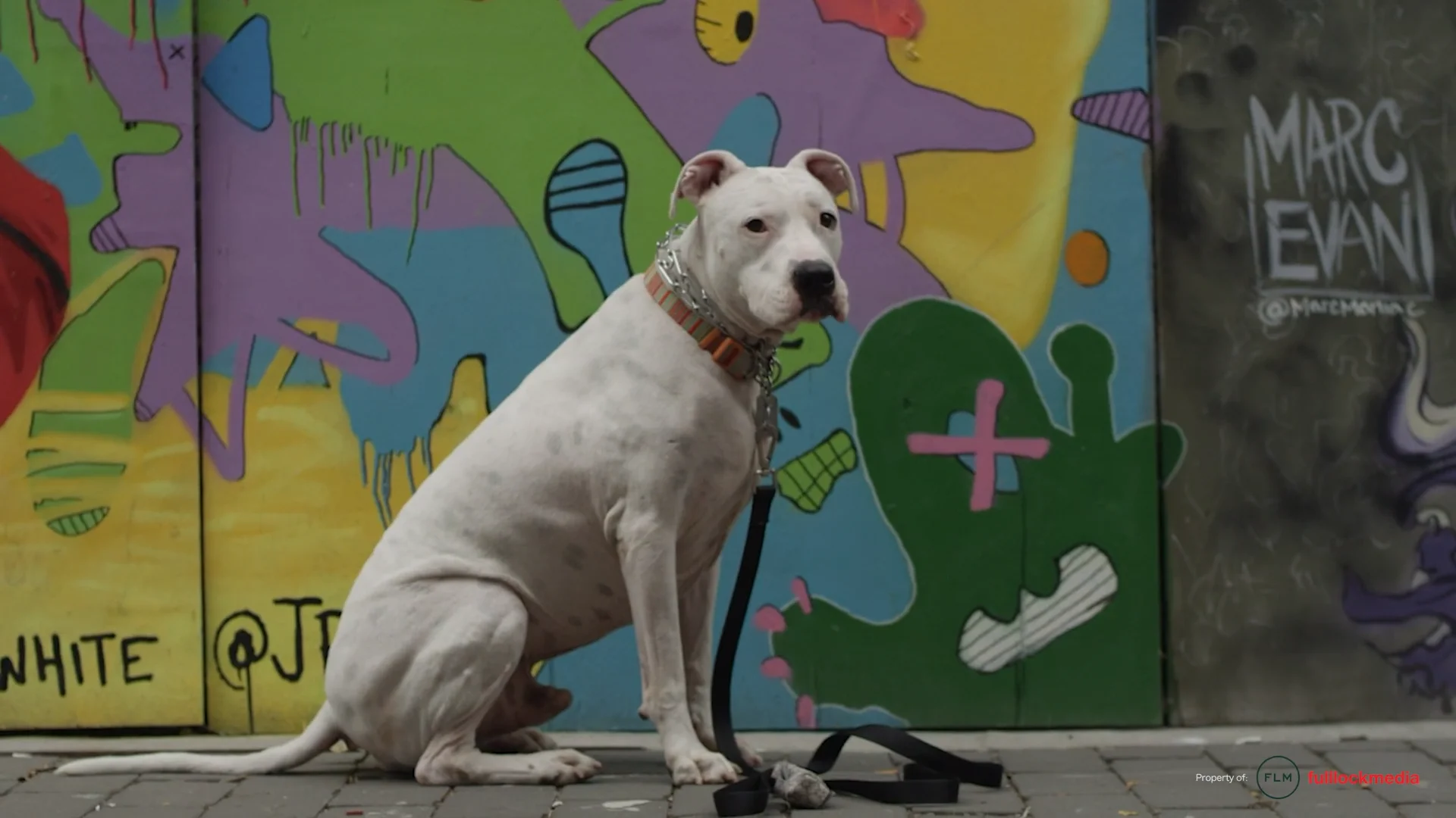 Eitan Levy - Demo Reel - 2023