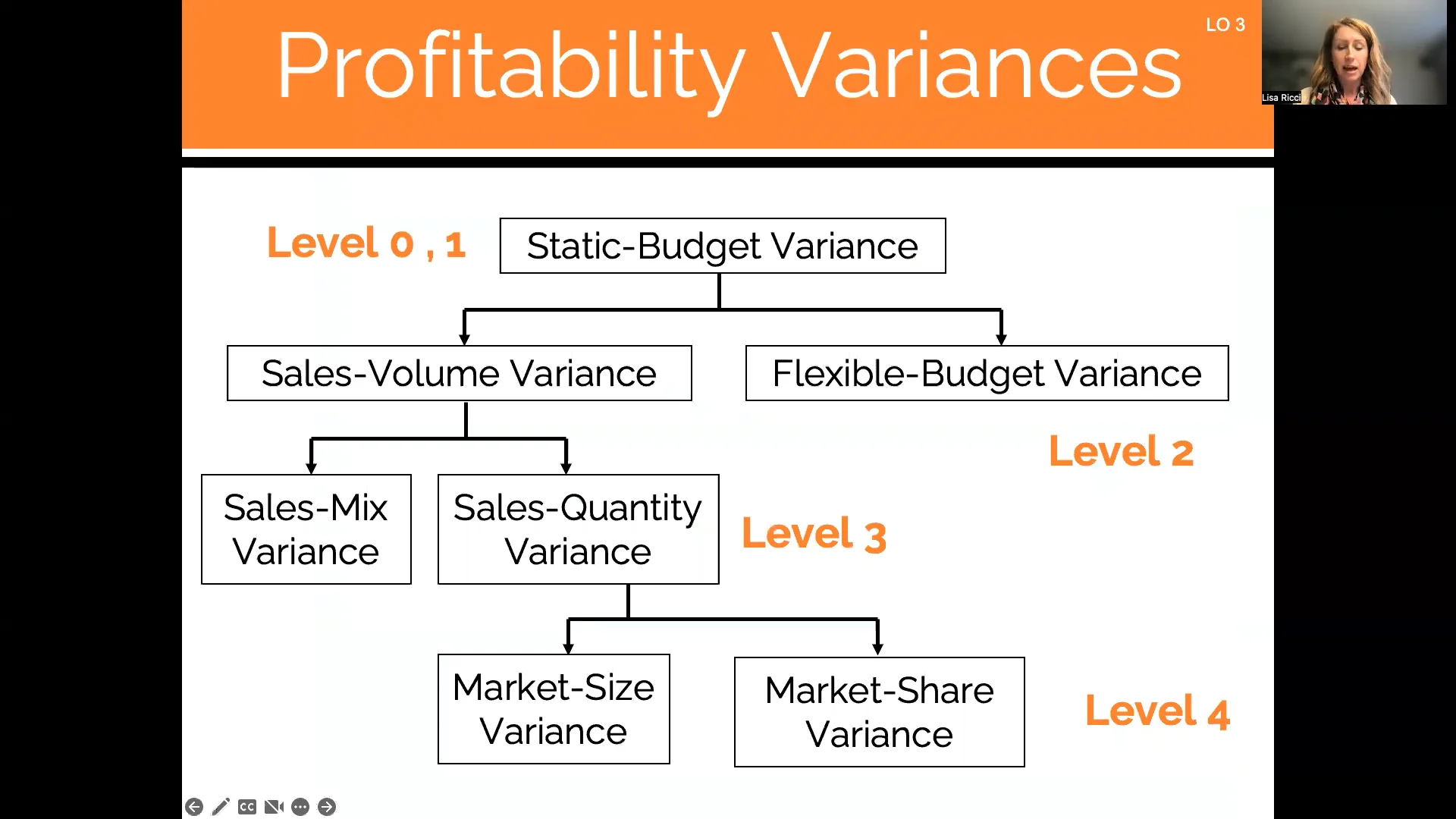 Ch 17 - Sales Variances