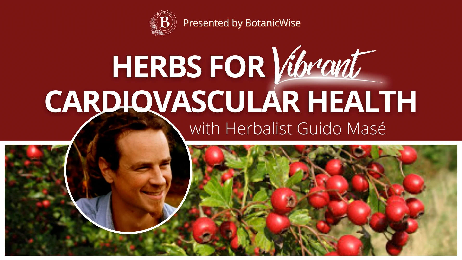Herbs for Vibrant Cardiovascular Health with Guido Masé on Vimeo