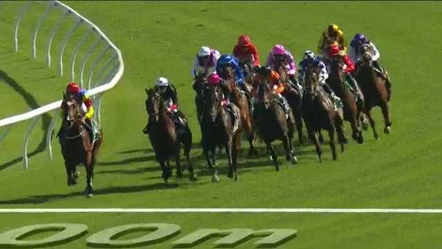 I Am Invincible - Stallion | Breednet