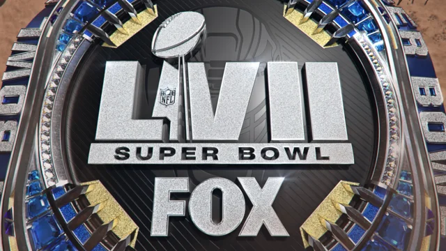 Super Bowl 48 Logo