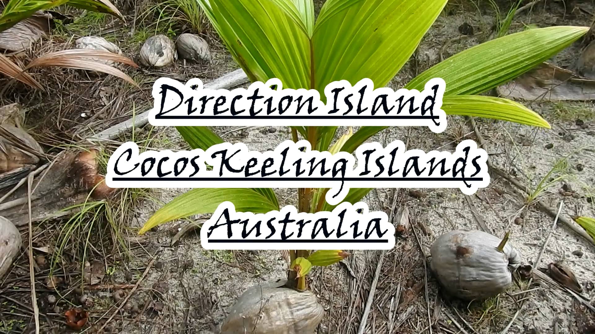 Direction Island, Cocos Keeling Islands, Australia on Vimeo