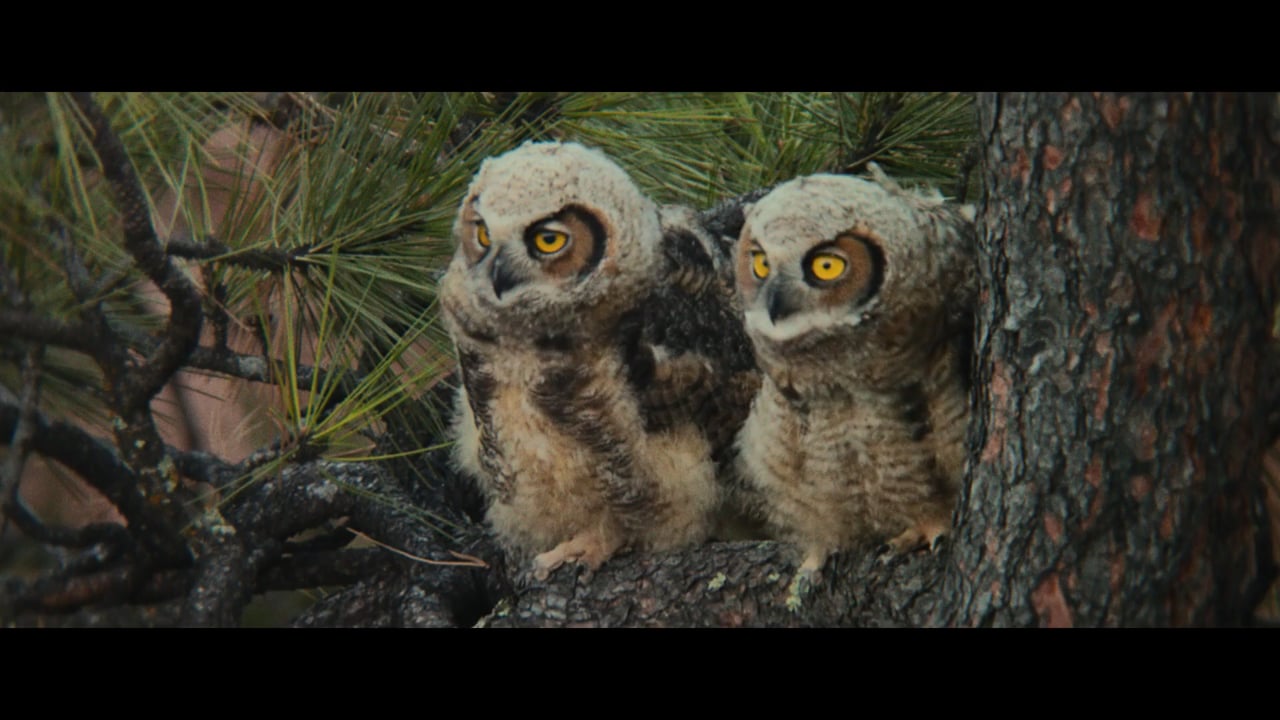 The 10 popular ads of 2023 (so far) - DAILY COMMERCIALS