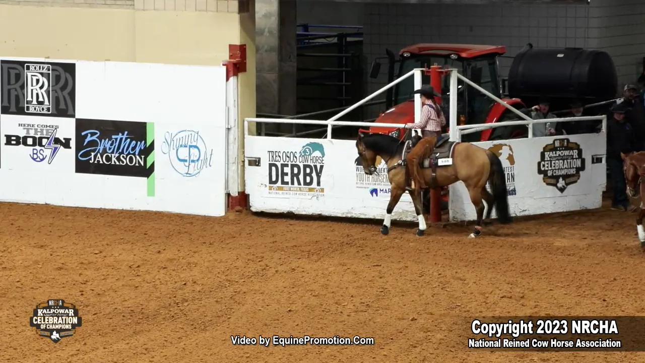 FERNS WHIZ shown by KRYSTAL MEADE - 2023 Celebration of Champions ...