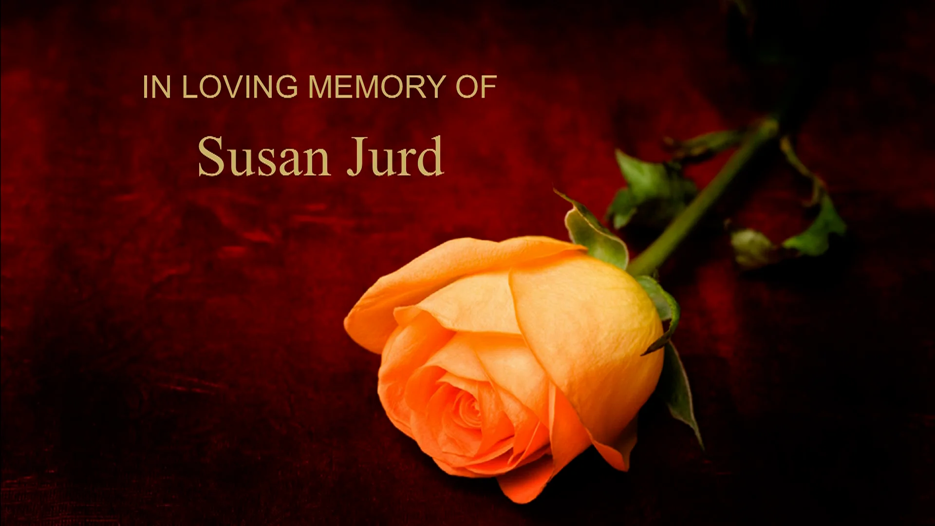Susan Jurd 13.02.2023.mp4 on Vimeo