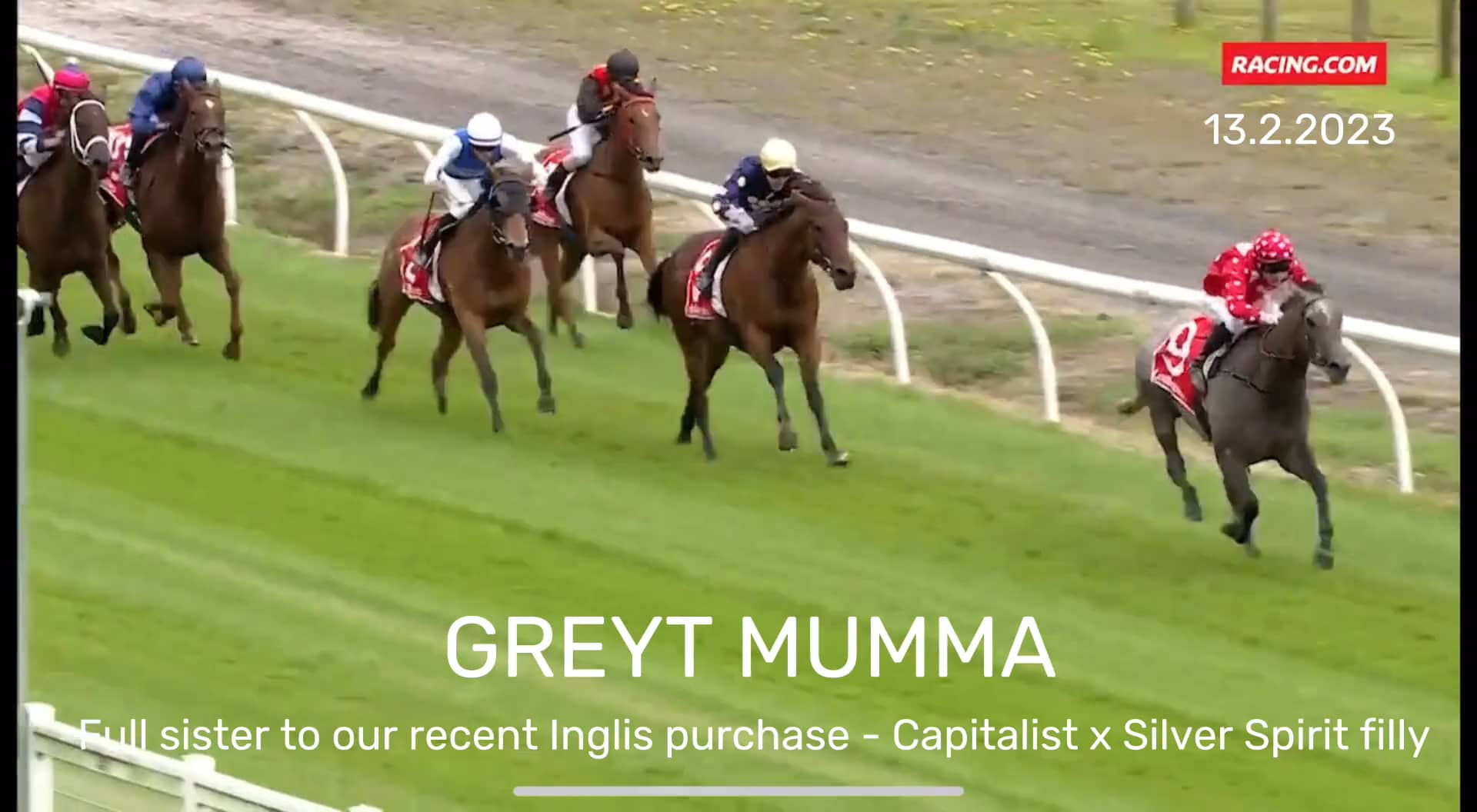 Greyt Mumma - FULL SISTER to our Inglis purchase on Vimeo