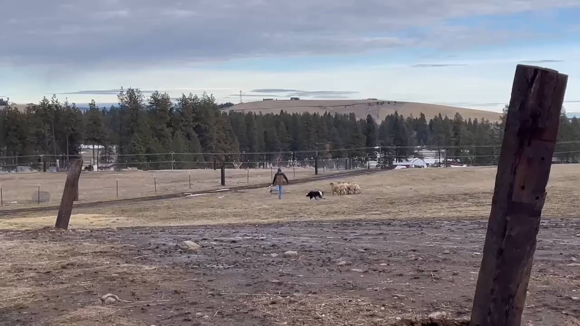 Tucker Day 9.mov on Vimeo