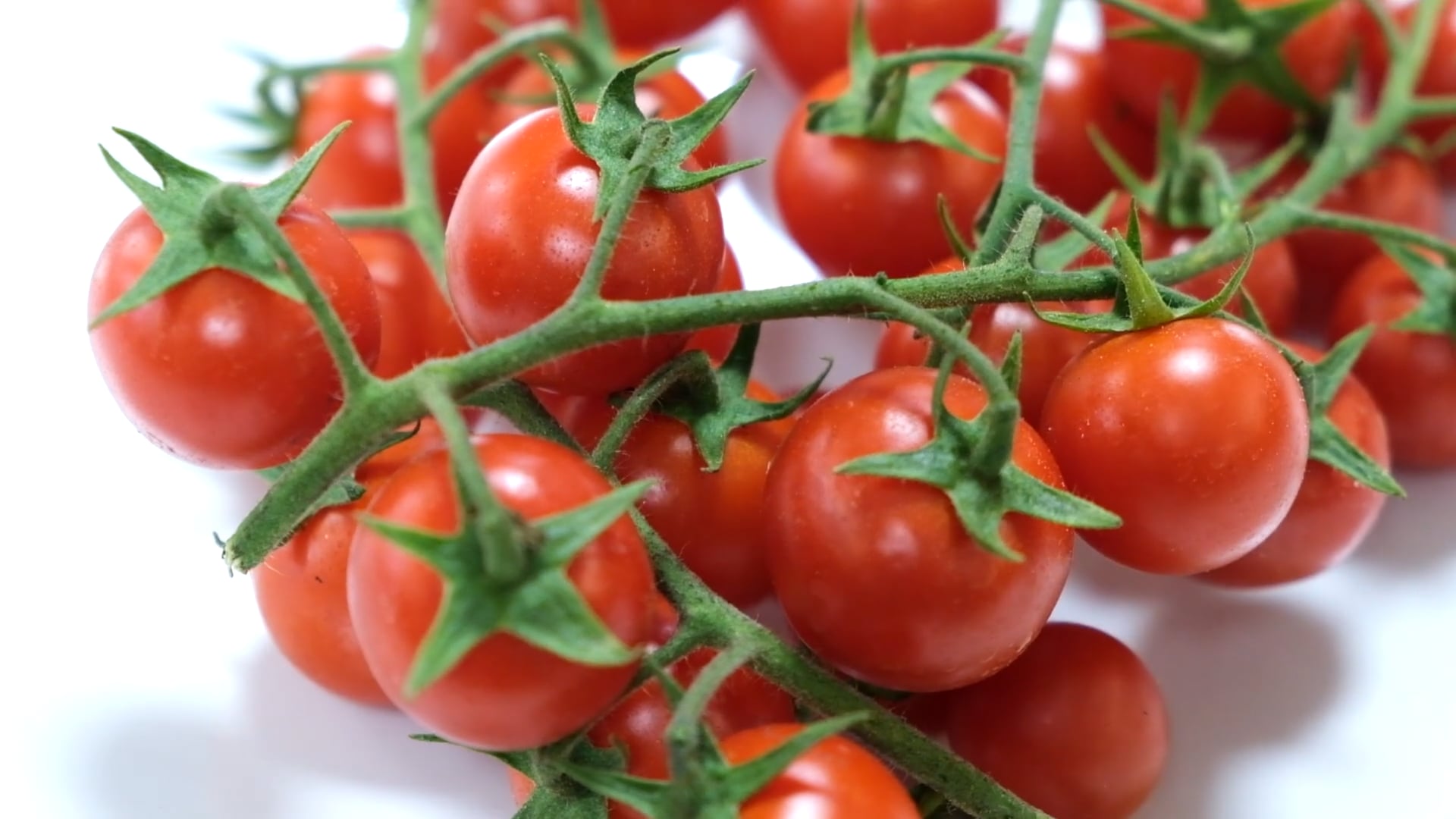 Ristorante Casa Sassone - Pizza Margherita on Vimeo
