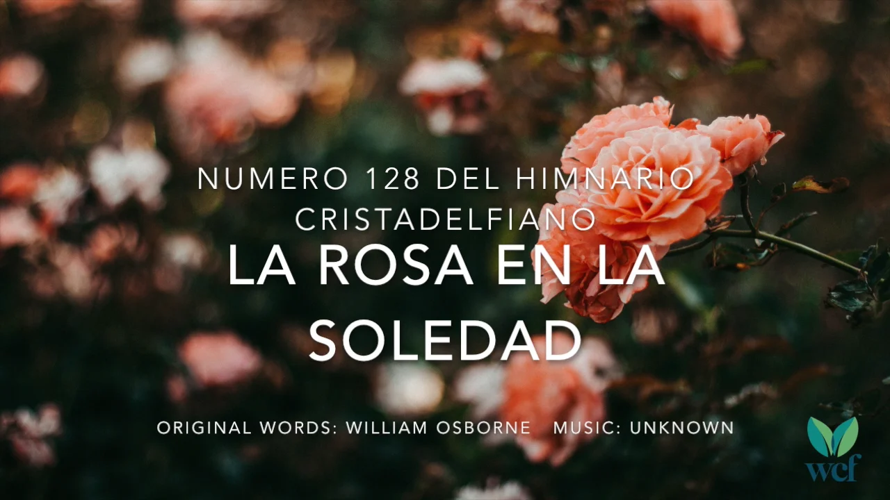 Himno 128 - ESPAÑOL - La rosa en la soledad