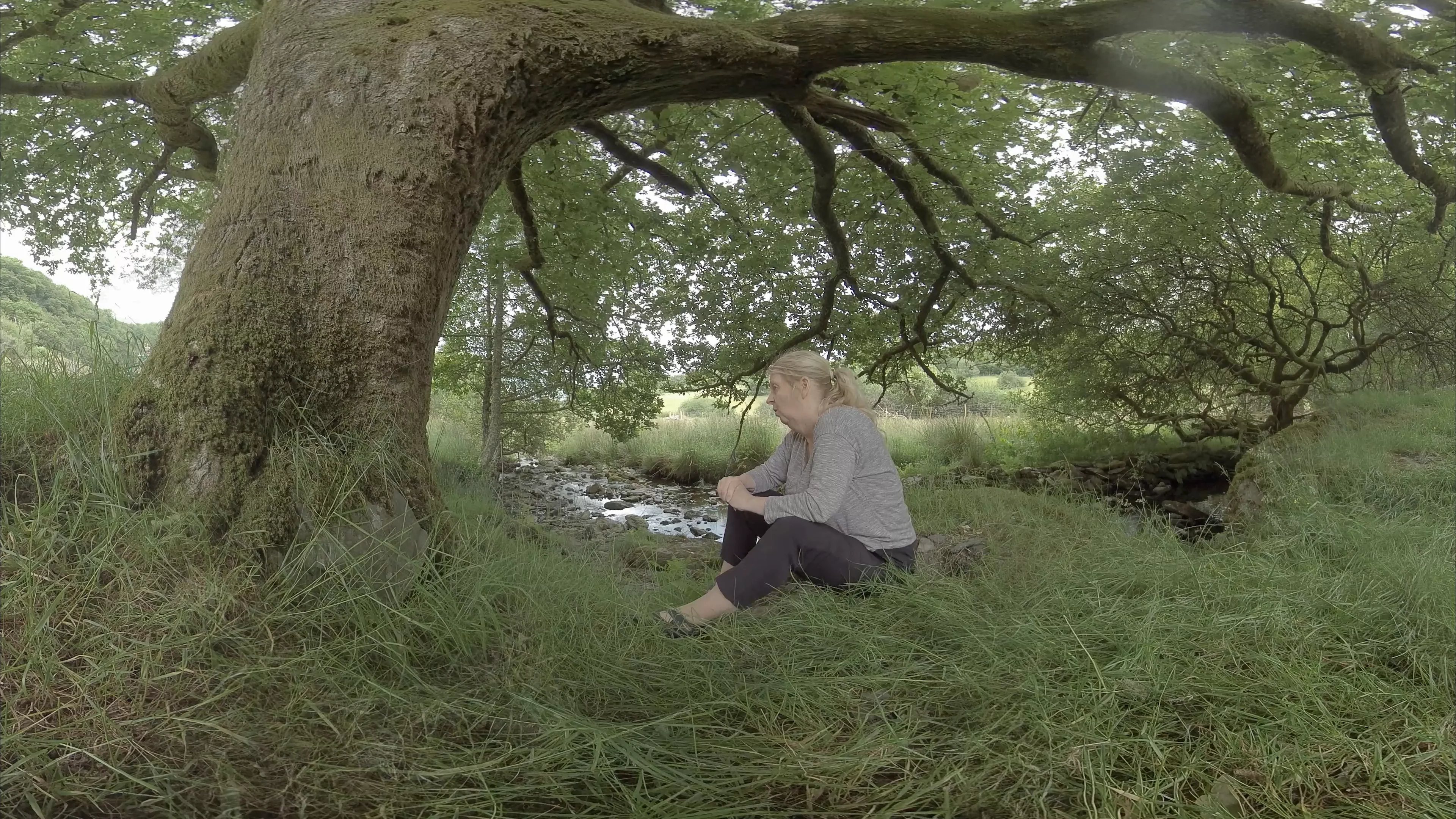 Dwynwen Tree Monologue Part.mp4 on Vimeo