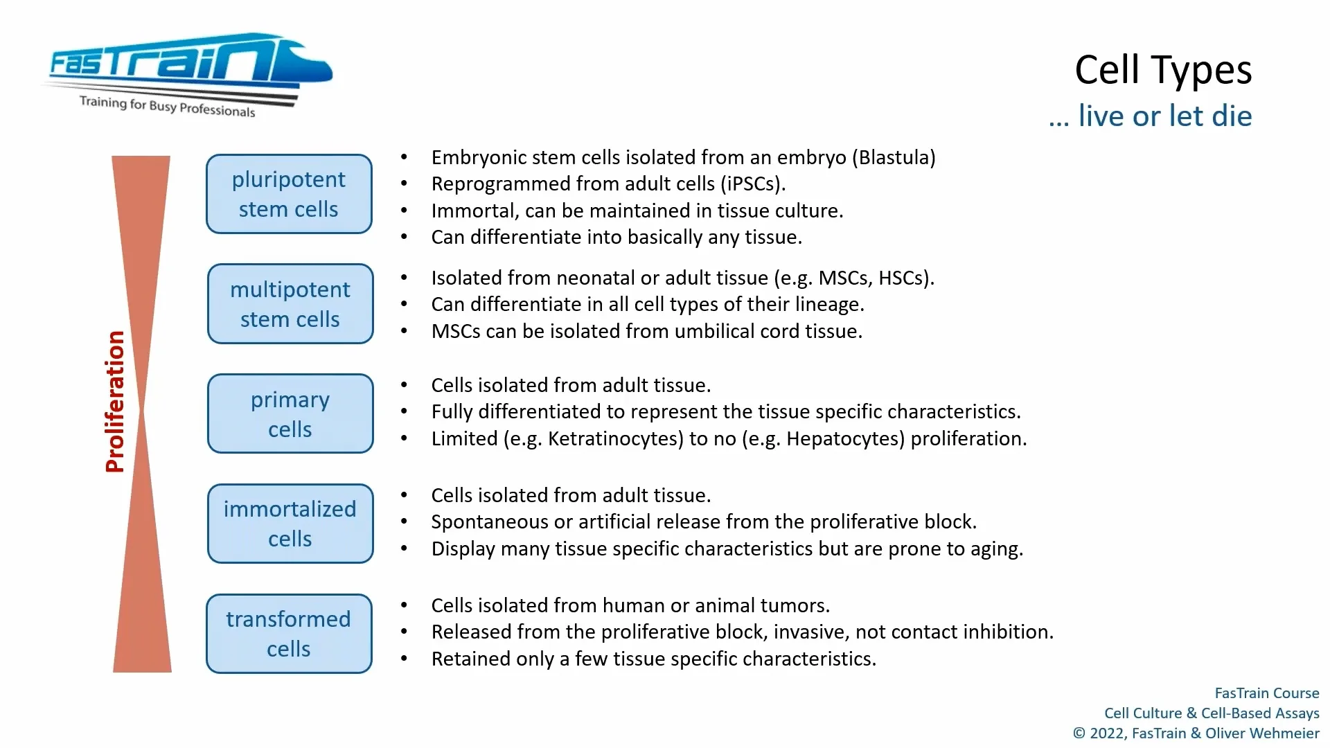 Watch CC-01_Introduction into Mammalian Cell Culture Online | Vimeo On ...