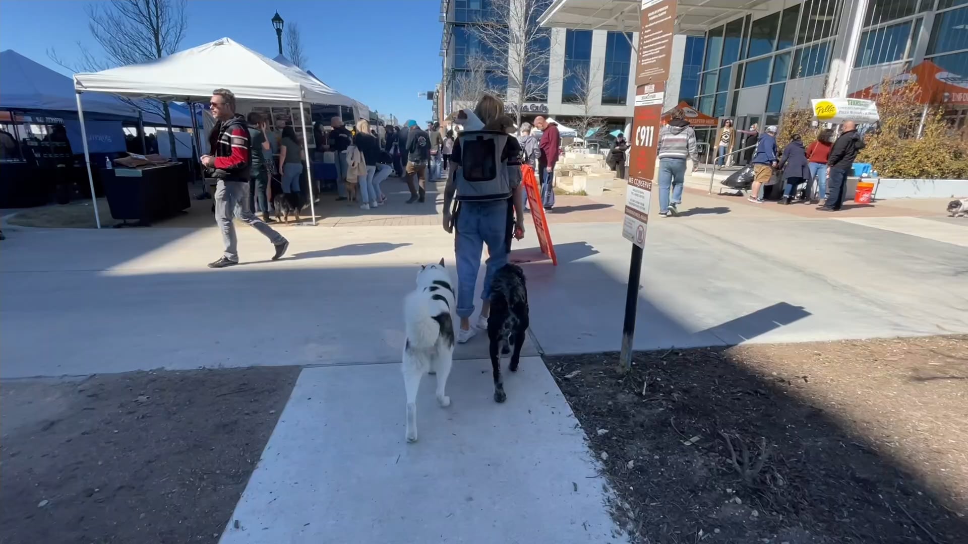 Dog Training - EVERYWHERE K9 - Austin, Texas