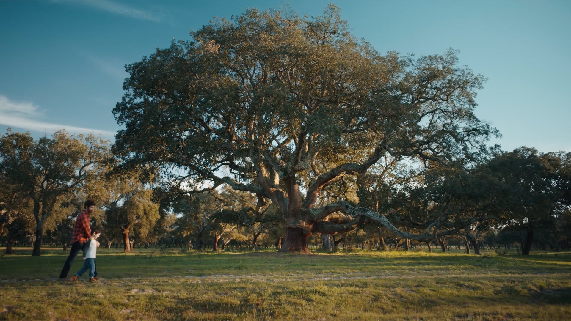 um_bongo (1080p) on Vimeo