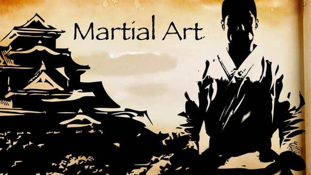 Martial Arts Animated Infographic on Vimeo