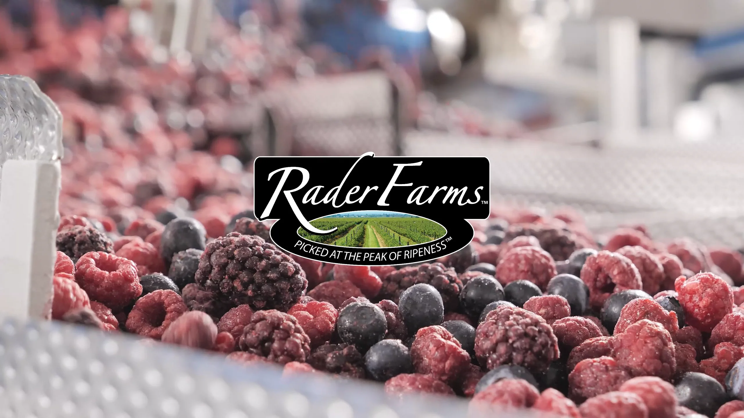 Rader Farms: Bellingham Plant Tour
