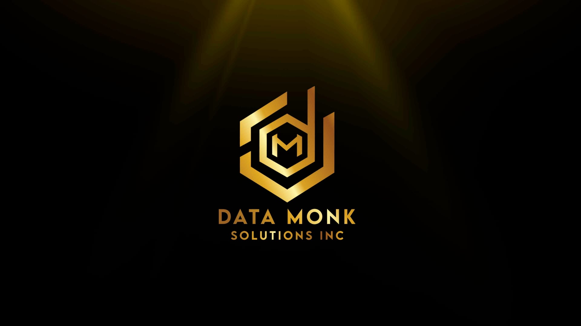 Data Monks