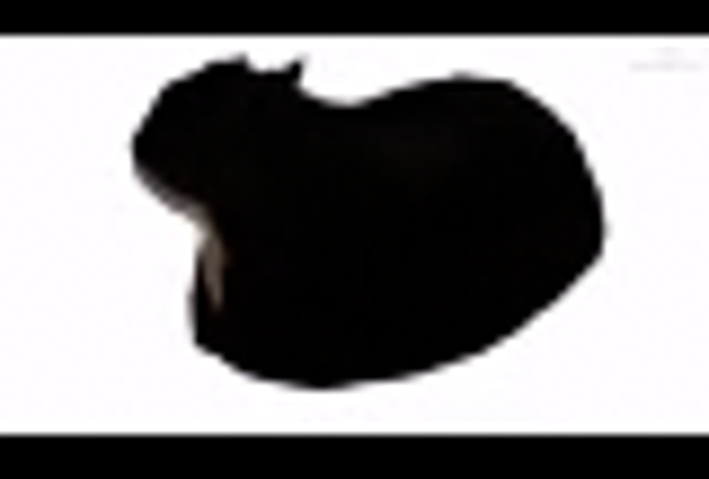 Maxwell the Cat Theme 10 Hours_1.mp4