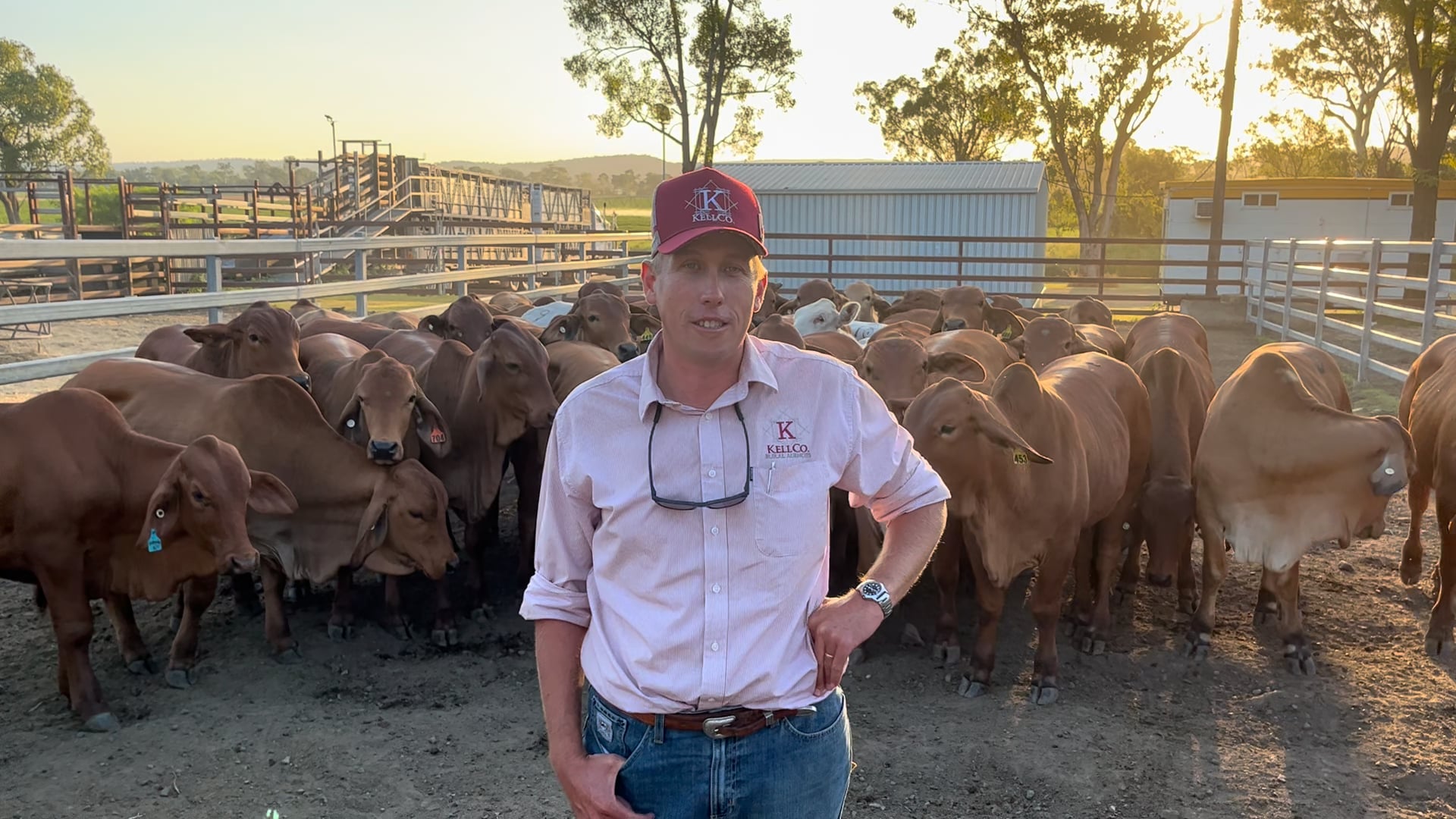 Monto Market Report 15th February 2023 on Vimeo