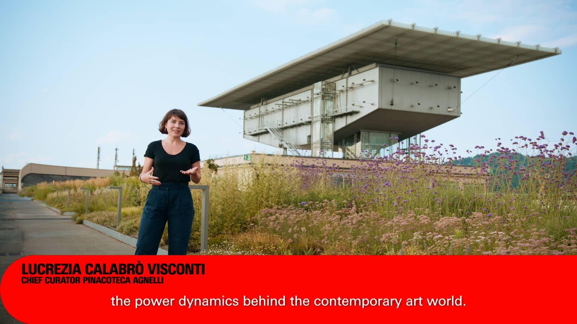 Louise Lawler, 1947, US Birdcalls, 1972–1981 on Vimeo