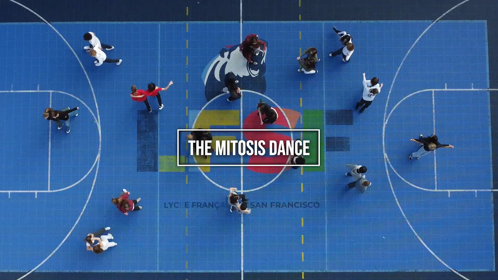 The Mitosis Dance on Vimeo