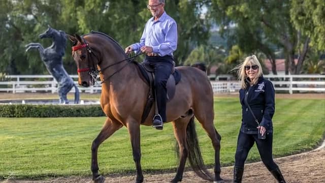 SCEC Commercial on Vimeo