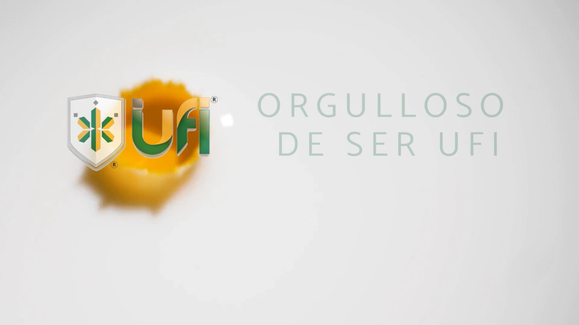 UFI, Instituto Universitario en Formación Integral