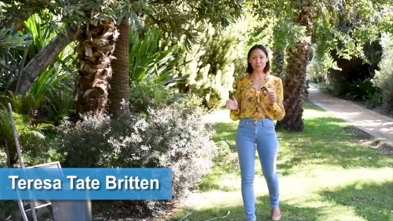 Teresa Tate Britten Presenter Reel 2023.mp4 on Vimeo