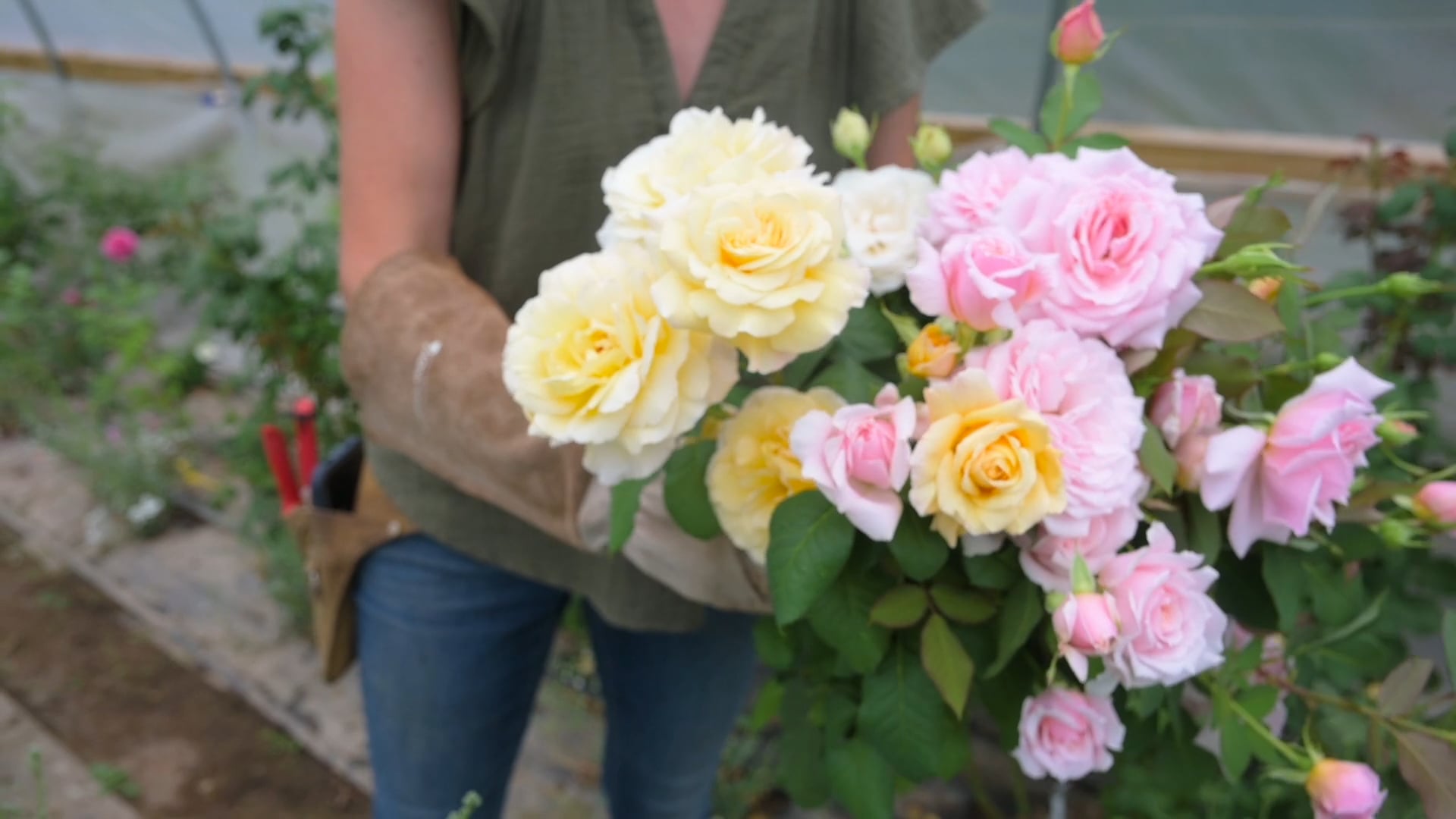 Little Farmhouse Flowers, Cold Climate Roses on Vimeo