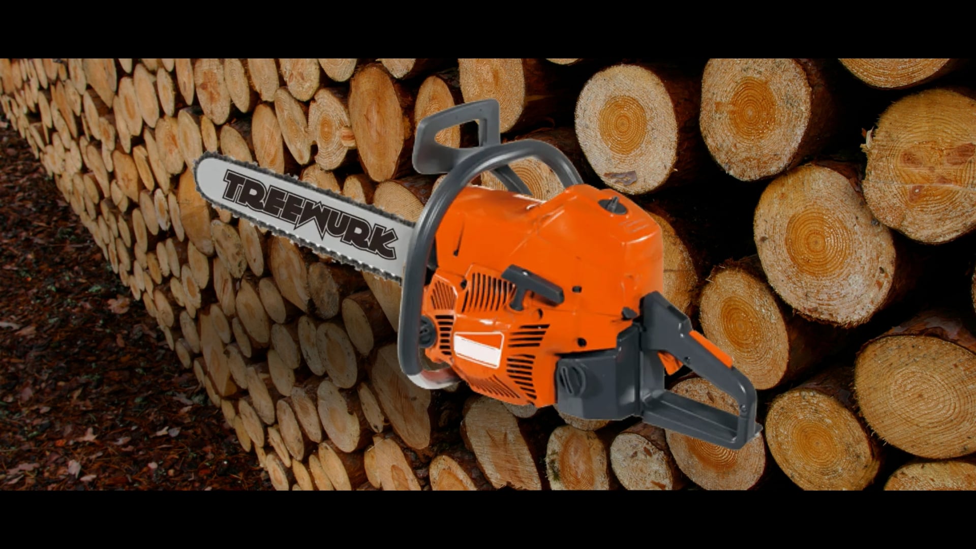 Kennesaw Tree Services | Cheap Tree Removal