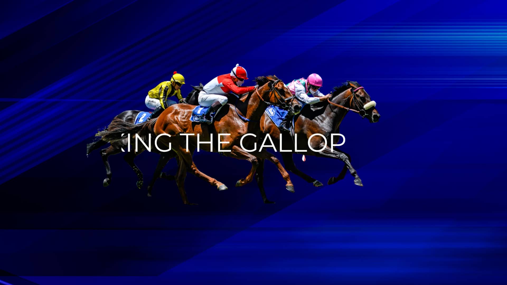 TAKEABET WITH TAB4RACING | FAIRVIEW | 17 FEBRUARY | BIPOT on Vimeo