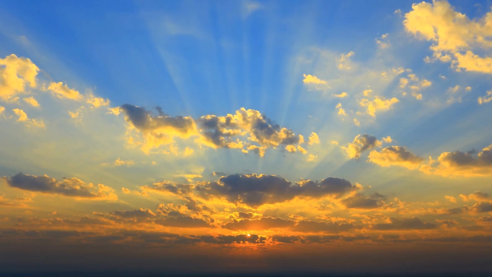 Solarity Energy Solutions - Solar Energy Service, Solar