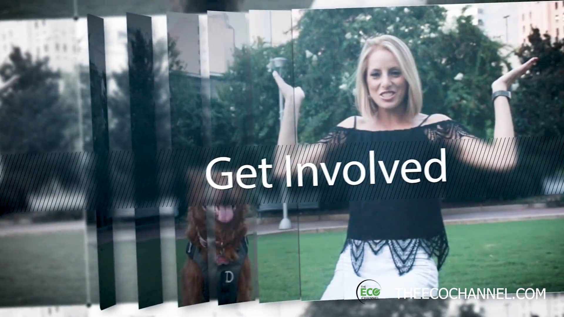 The ECO Challenge casting call on Vimeo