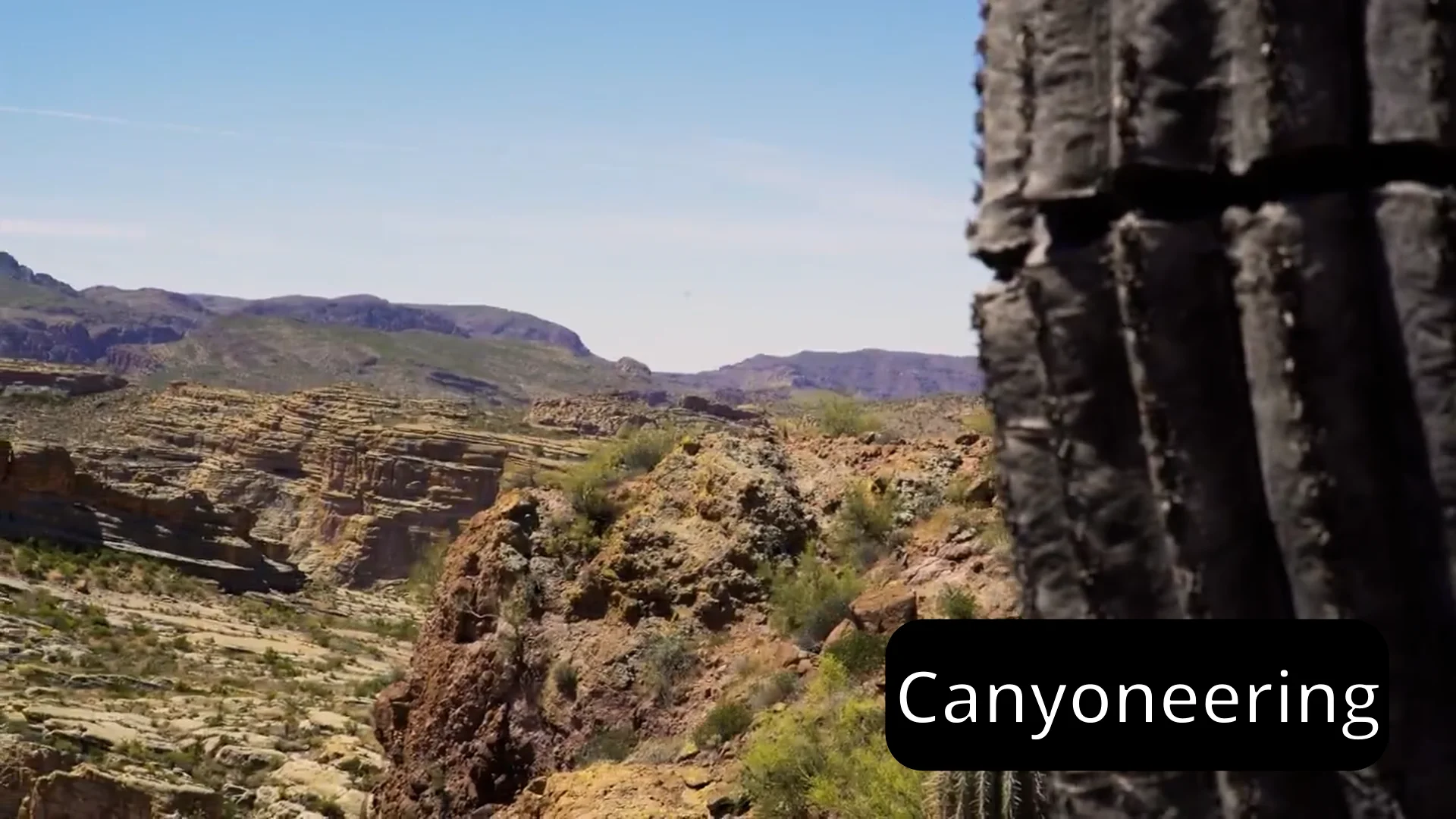 Jonathan Legg.mov on Vimeo