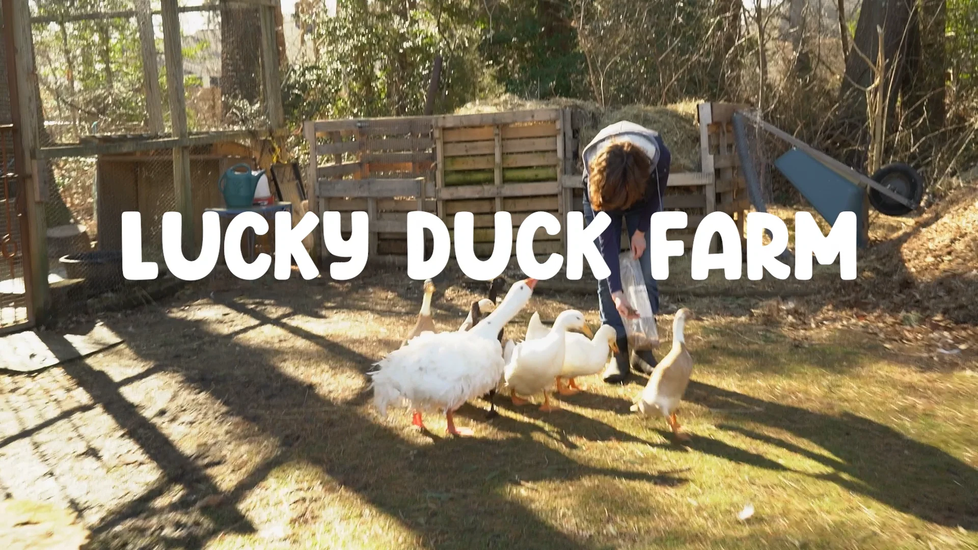 Lucky Duck Farm on Vimeo